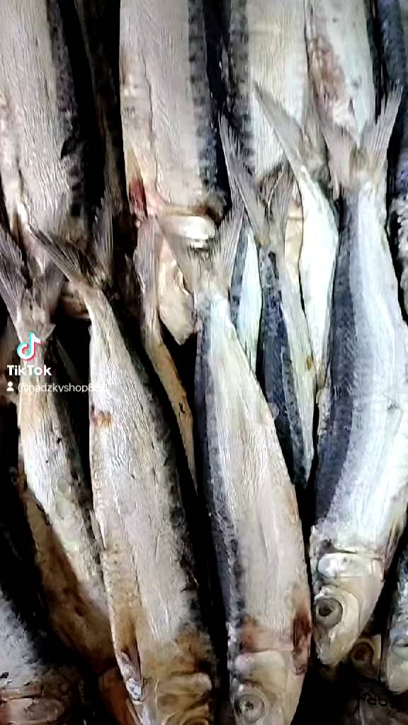 Haul/Turay 500g per pack | Lazada PH