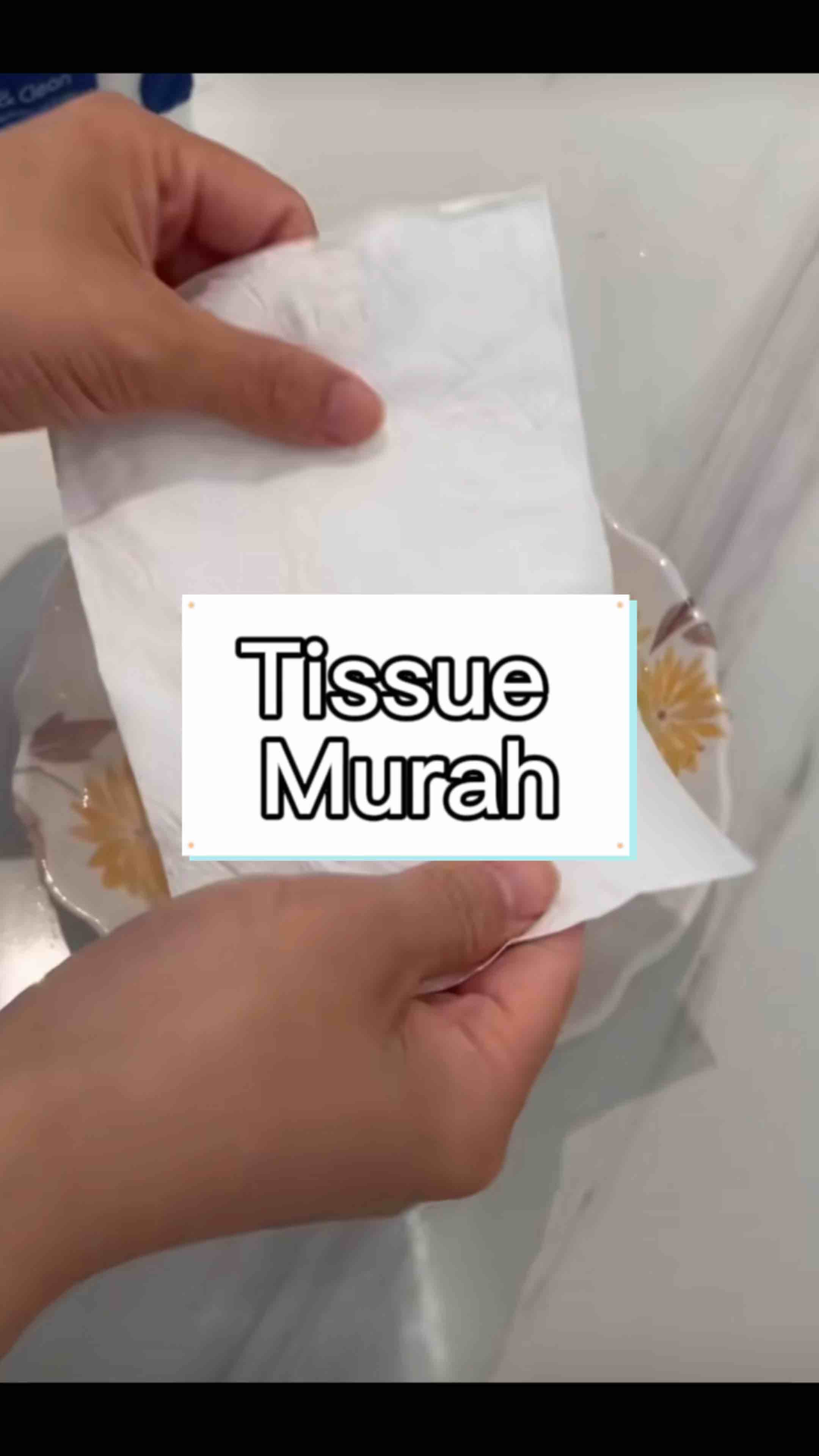 Natural Tissue - [10 Packs] soft & clean 300 Sheet/pack | Lazada