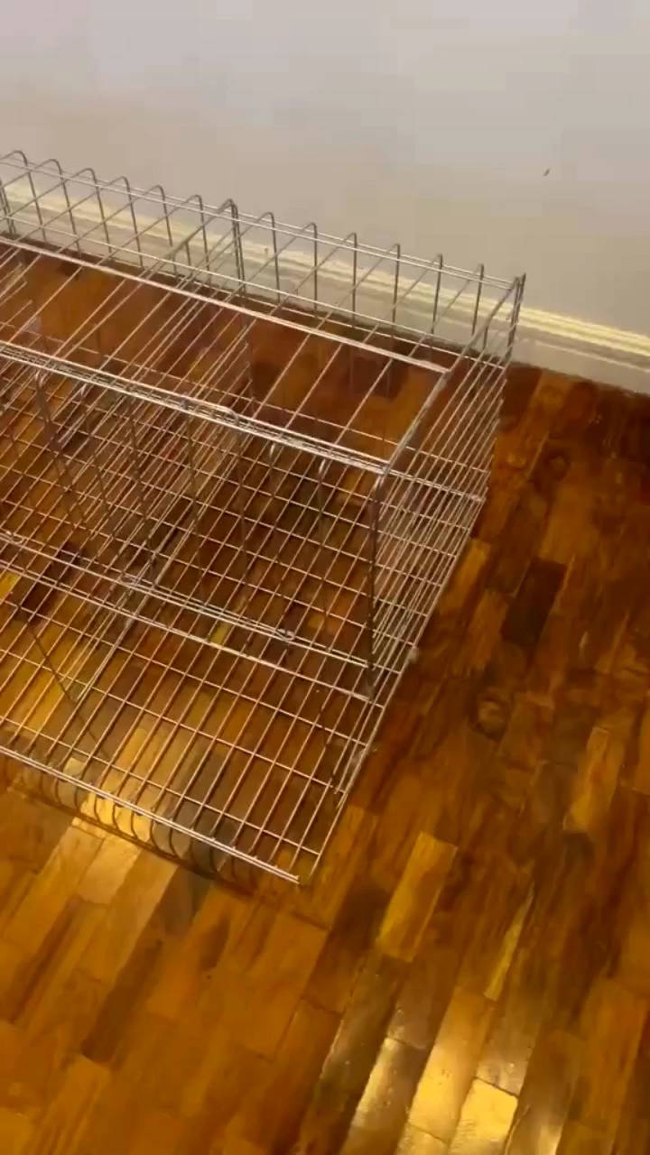 Battery Cage 4 doors Galvanized / Coated Blue / Chicken cage ...