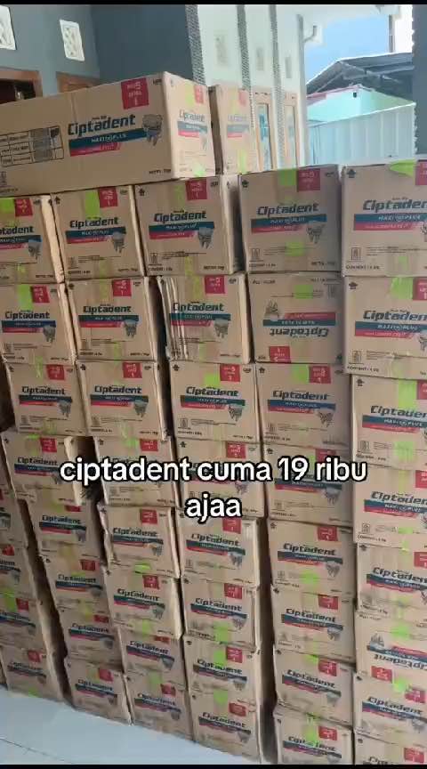 12pcs ciptadent pasta gigi 75g /selusin odol ciptadent | Lazada Indonesia