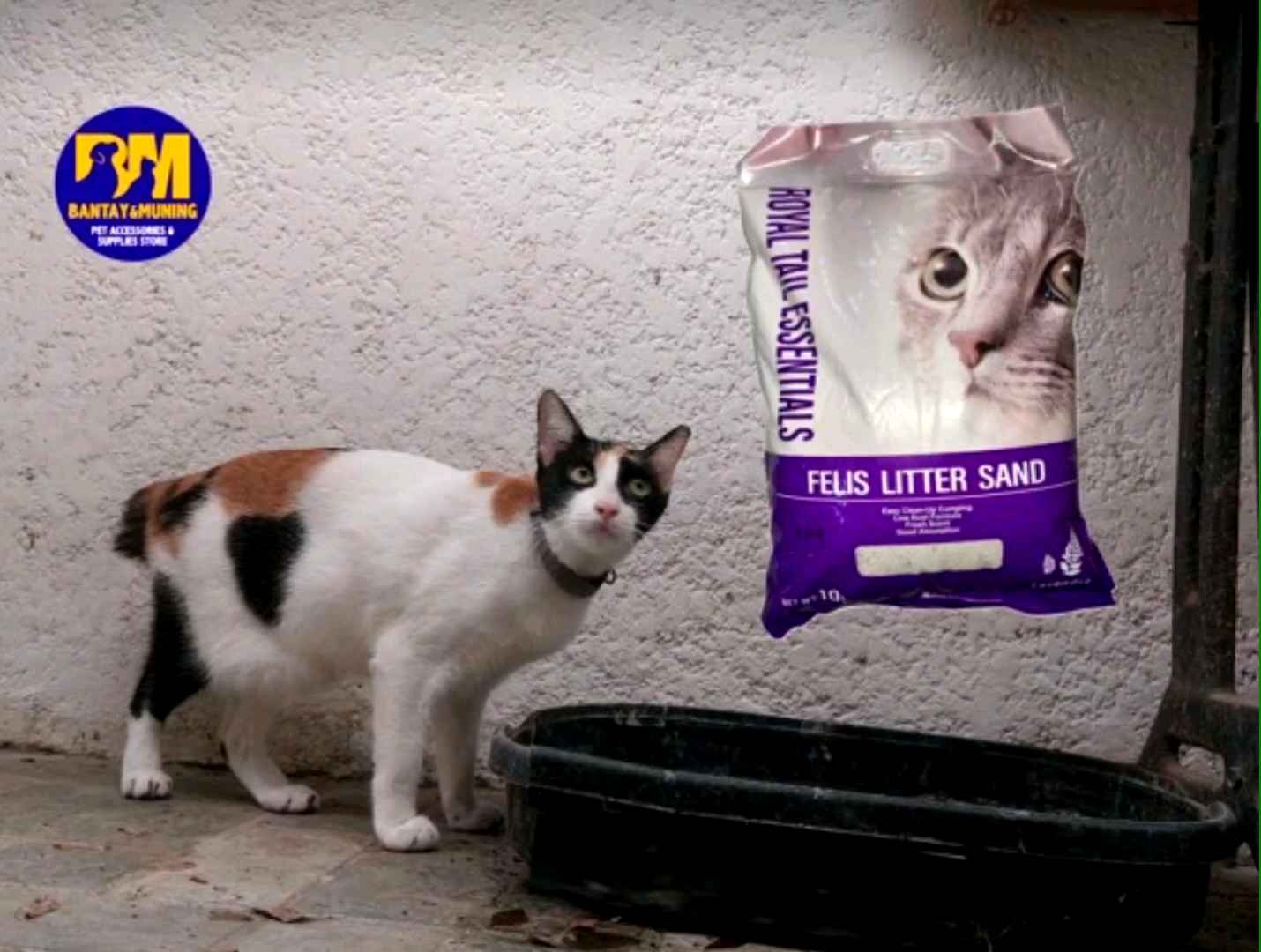Royal Tail Cat Litter 10L B&M | Lazada PH